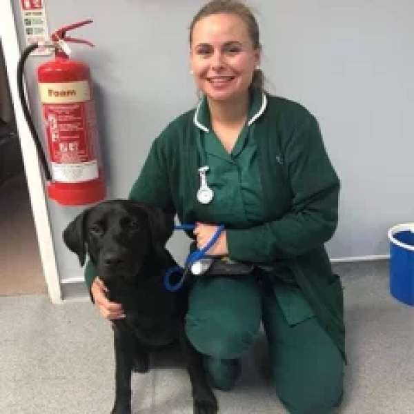 Explore Leading Animal Care Courses | Animal Academy